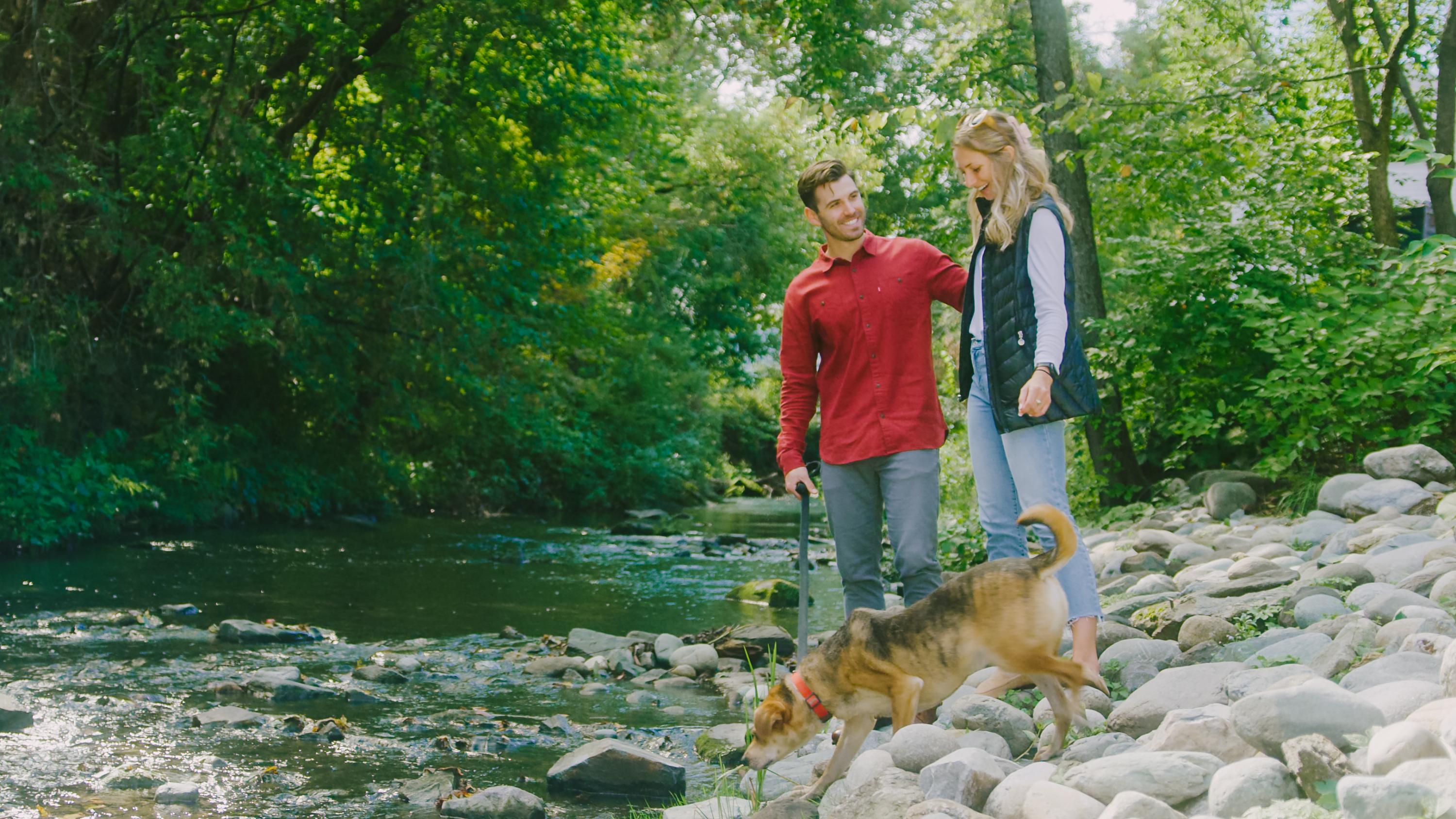 Woodstock VT s Dog Friendly Hikes Woodstock VT woodstock-vt-s-dog-friendly-hikes-woodstock-vt
